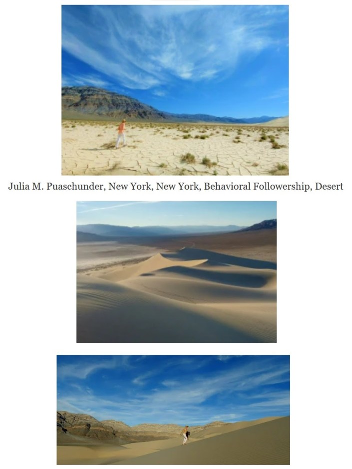 julia-puaschunder-desert-nevada | Julia M. Puaschunder